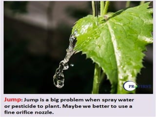 Spray process | PDF