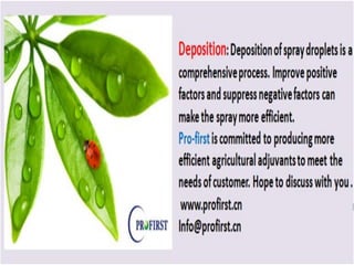 Spray process | PDF