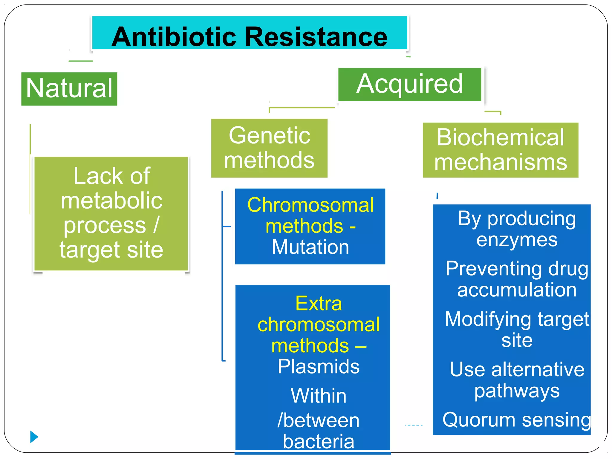 1. chemotherapy principles and problems | PPT