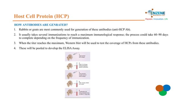Host Cell Proteins | PPTX | Infectious Diseases | Diseases and Conditions