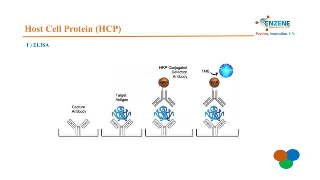 Host Cell Proteins | PPTX | Infectious Diseases | Diseases and Conditions