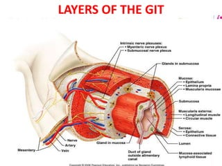 1. git lecture 1 | PPTX