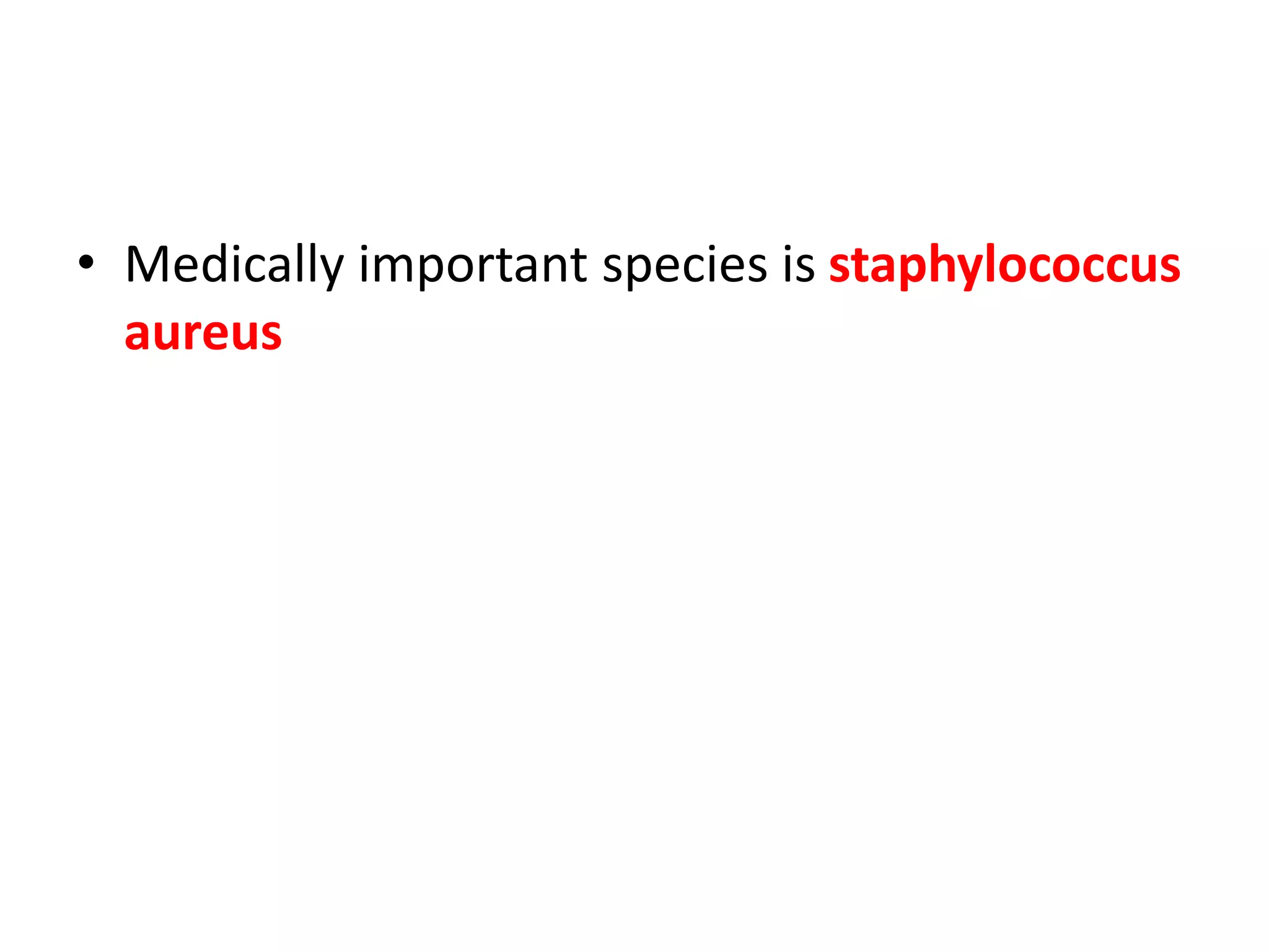 1. staphylococcus | PPTX