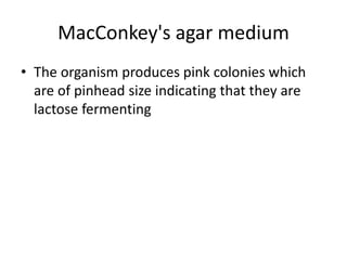 1. staphylococcus | PPT