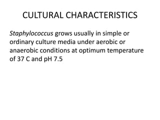 1. staphylococcus | PPT