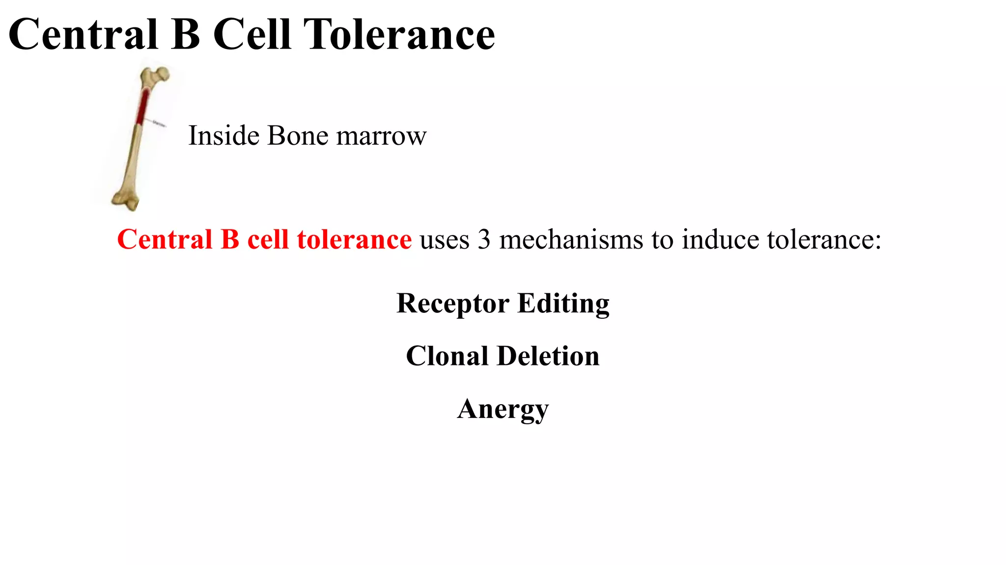 Immunological tolerance | PPTX
