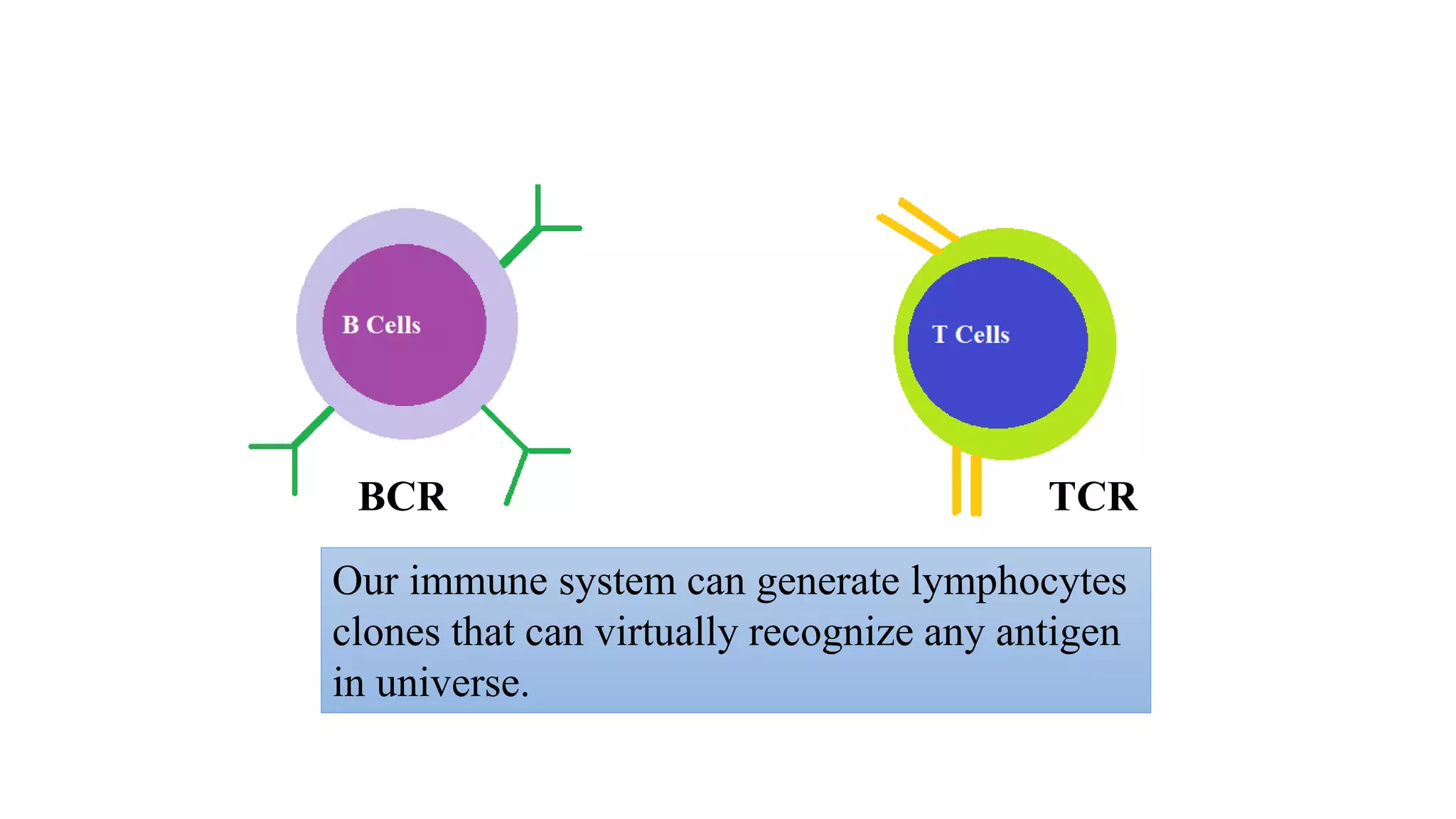 Immunological tolerance | PPTX