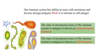 Immunological tolerance | PPTX
