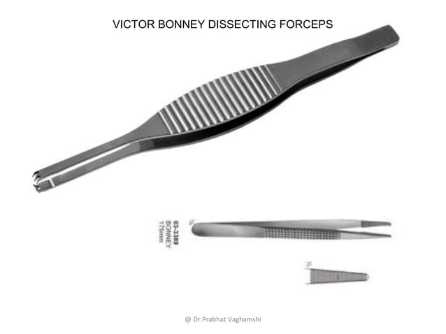 Instrument used for Dissection | PPT | Brain and Nervous System ...