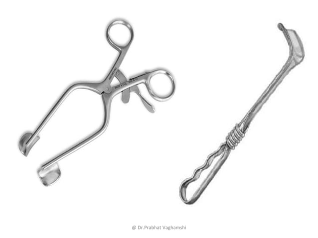 Instrument used for Dissection | PPT | Brain and Nervous System ...