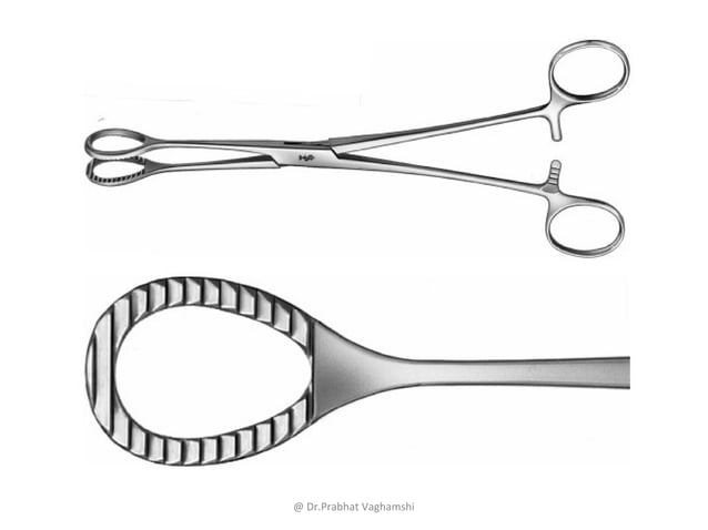 Instrument used for Dissection | PPT | Brain and Nervous System ...