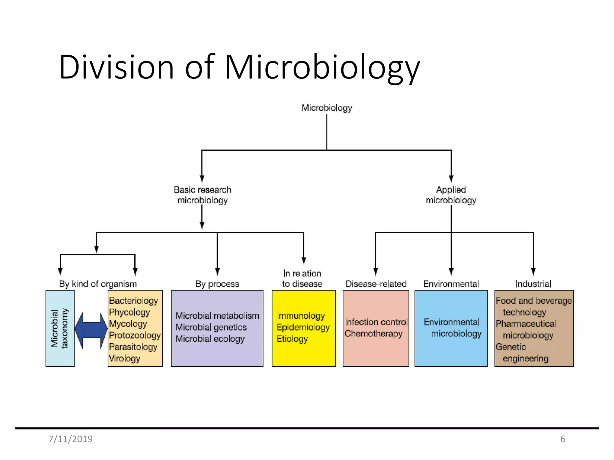 1. Fundamentals of Microbiology | PPTX