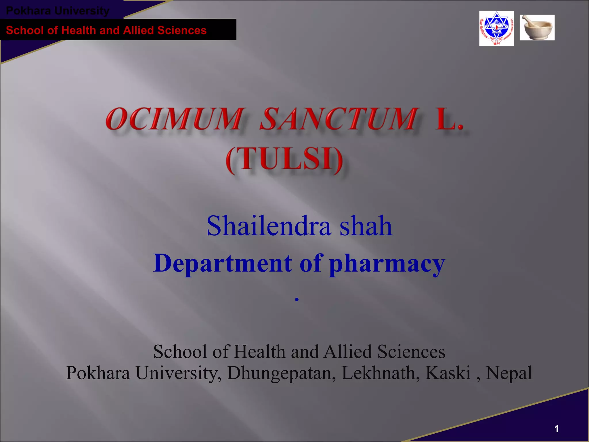 1.ocimum sanctum(tulsi) | PPT