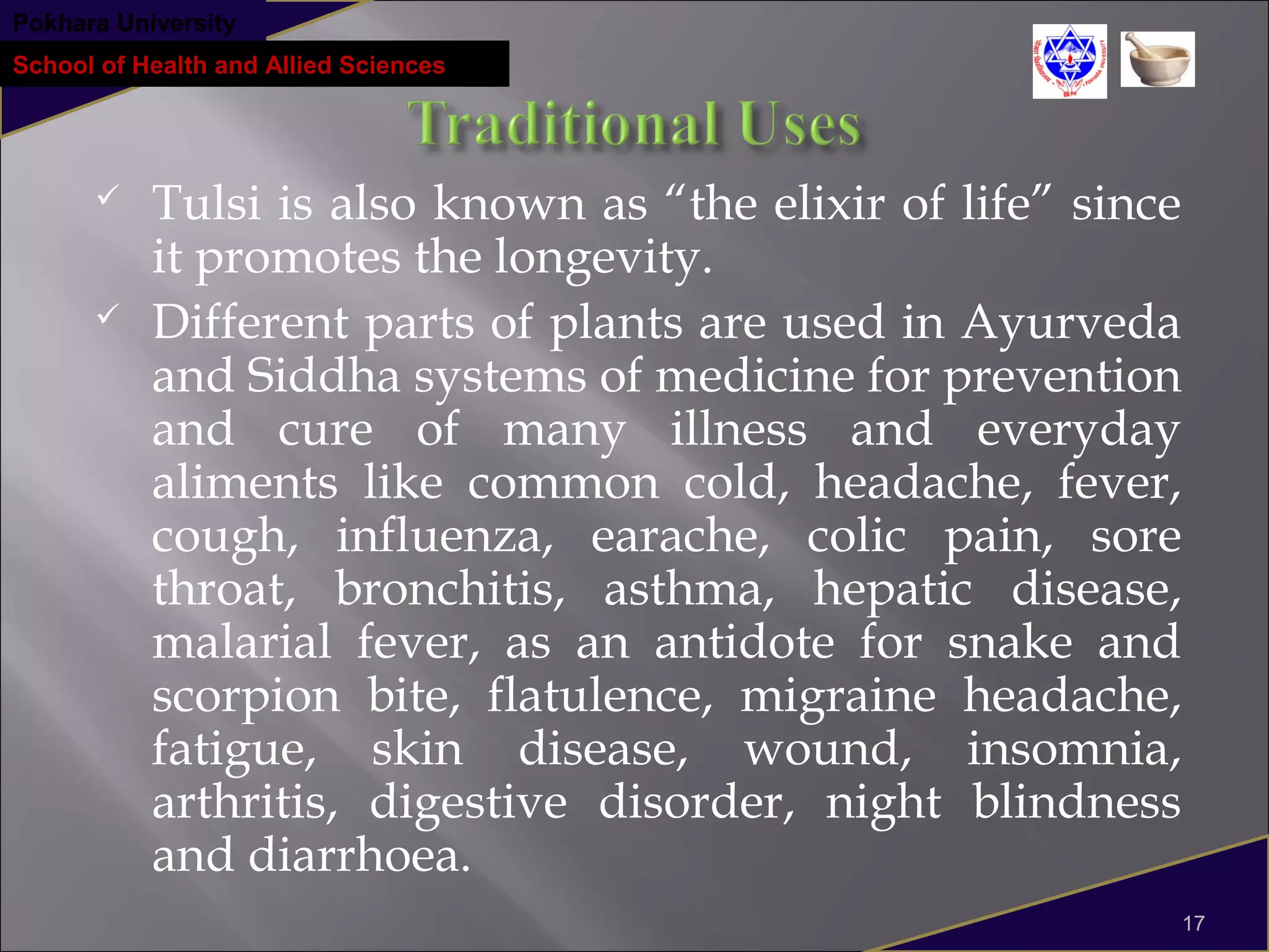 1.ocimum sanctum(tulsi) | PPT