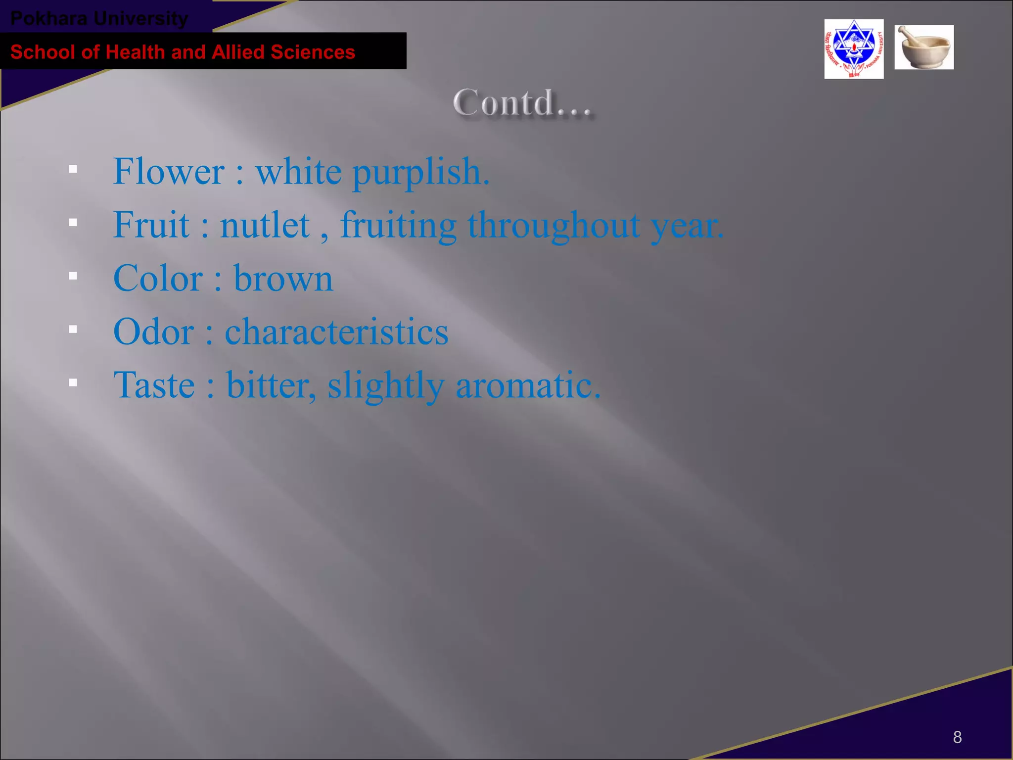 1.ocimum sanctum(tulsi) | PPT