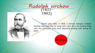 1. cell theory | PPTX