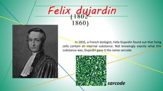 1. cell theory | PPTX