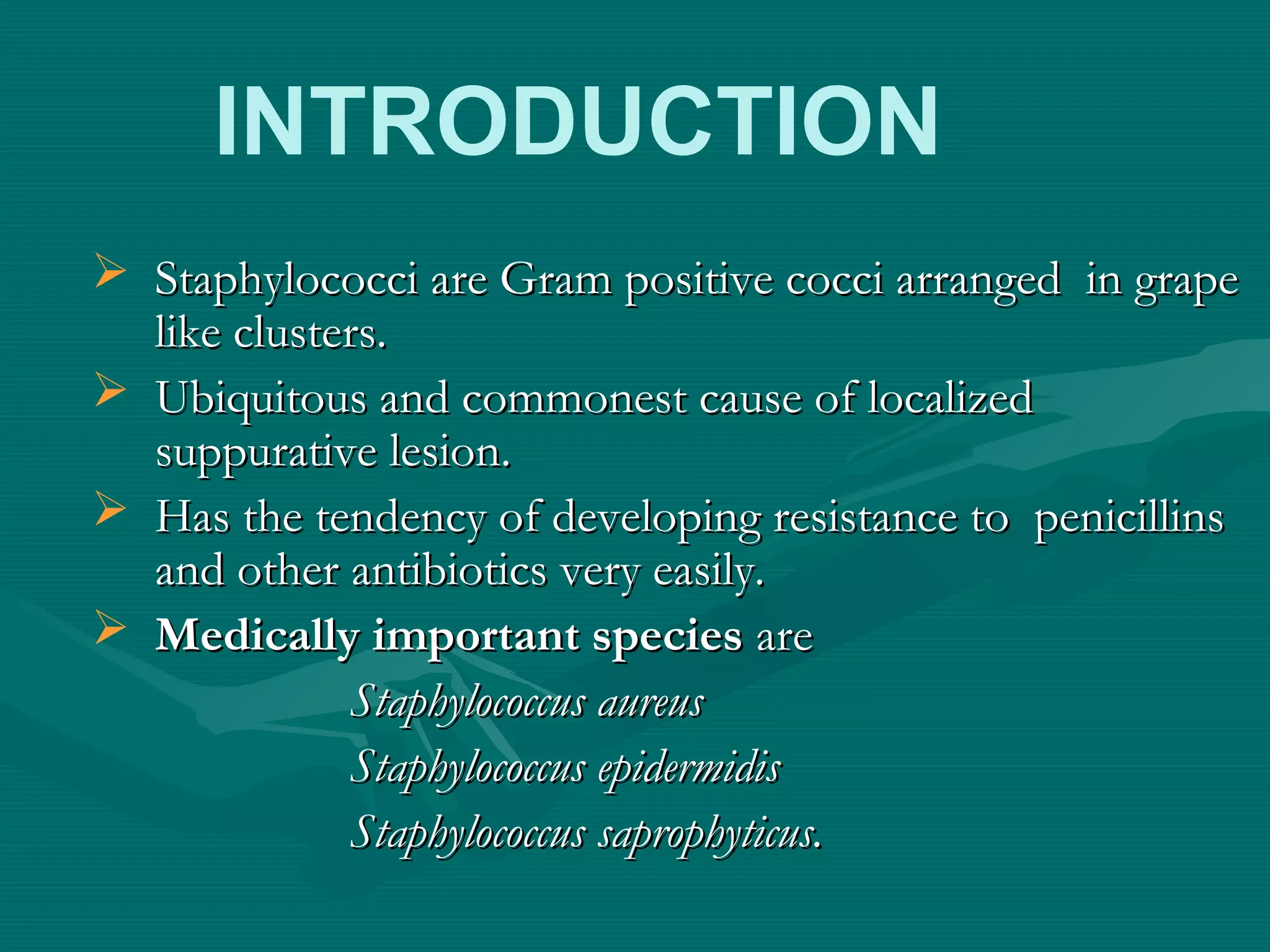 Staphylococcus aureus | PPT