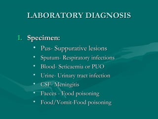 Staphylococcus aureus | PPT