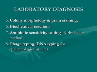 Staphylococcus aureus | PPT
