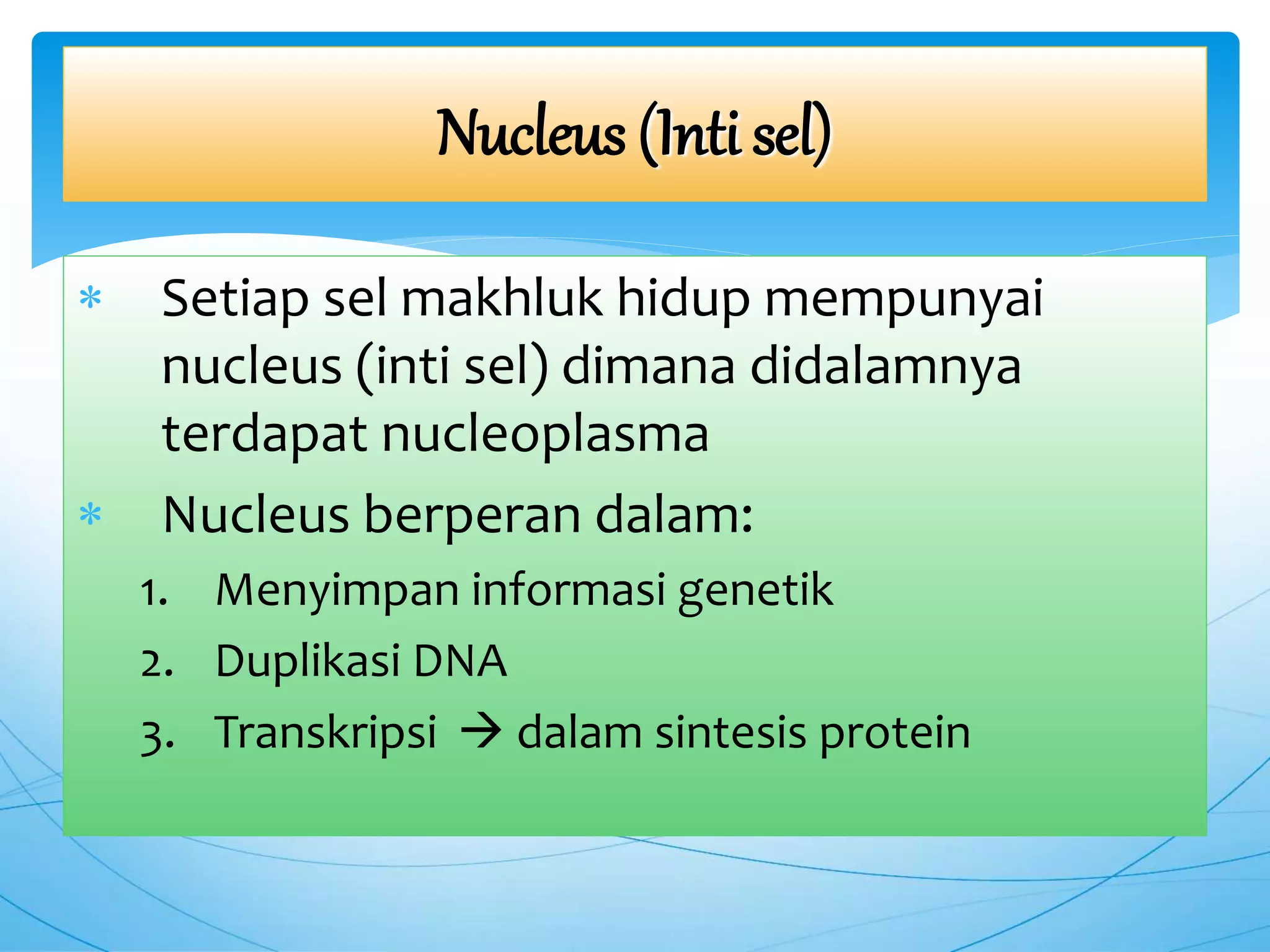 DNA dan RNA sintesis protein | PPTX