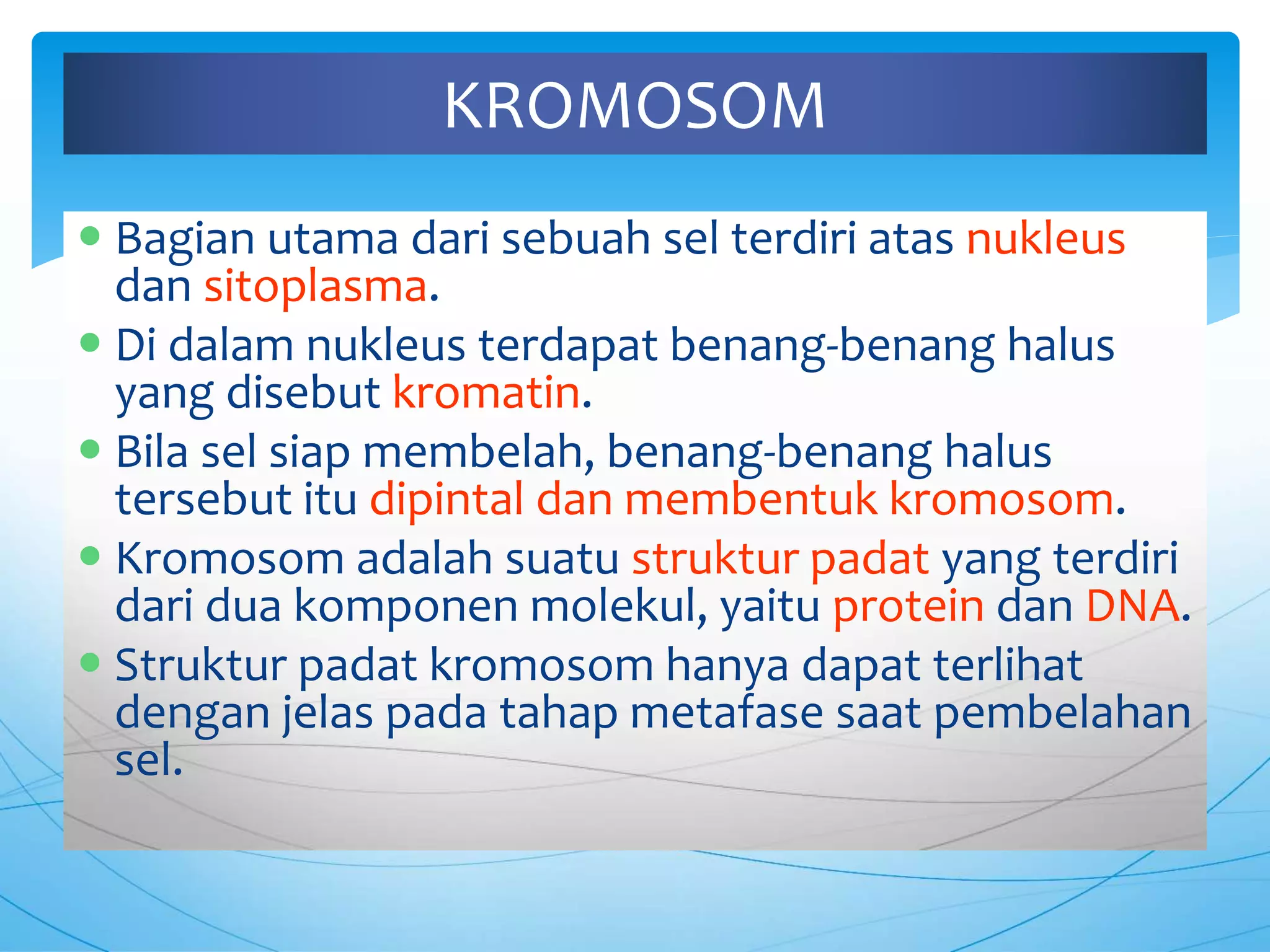 DNA dan RNA sintesis protein | PPTX