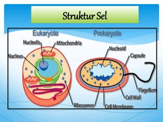 DNA dan RNA sintesis protein | PPTX