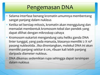DNA dan RNA sintesis protein | PPTX