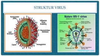 Morfologi virus | PPTX