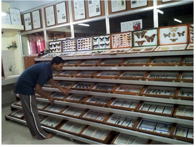 History of entomology in India by Dr. T. Krishna Chaitanya | PPTX