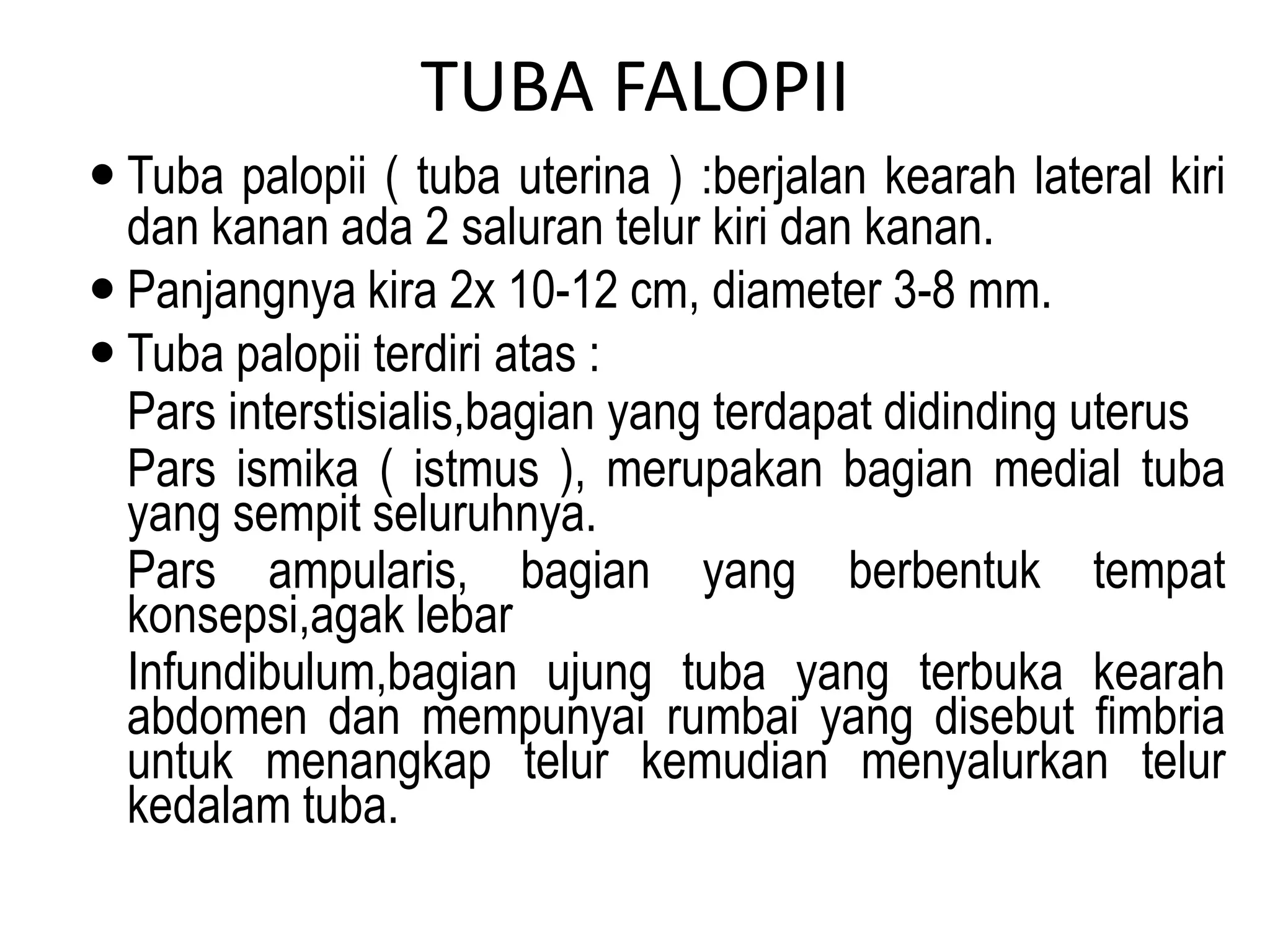 Anatomi Fisiologi | PPT