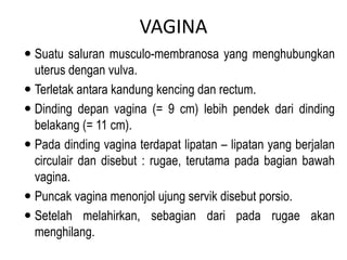 Anatomi Fisiologi | PPT