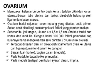 Anatomi Fisiologi | PPT