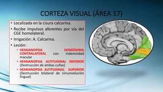 1. Via visual. | PDF