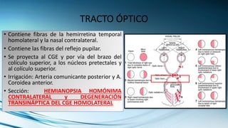 1. Via visual. | PDF