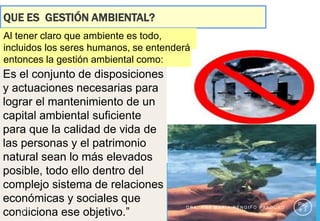 Introducción a la gestión ambiental | PDF