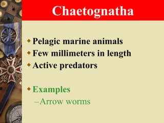 Classification of organisms | PPT