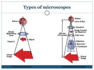 basics of microscope - part 1 | PPTX