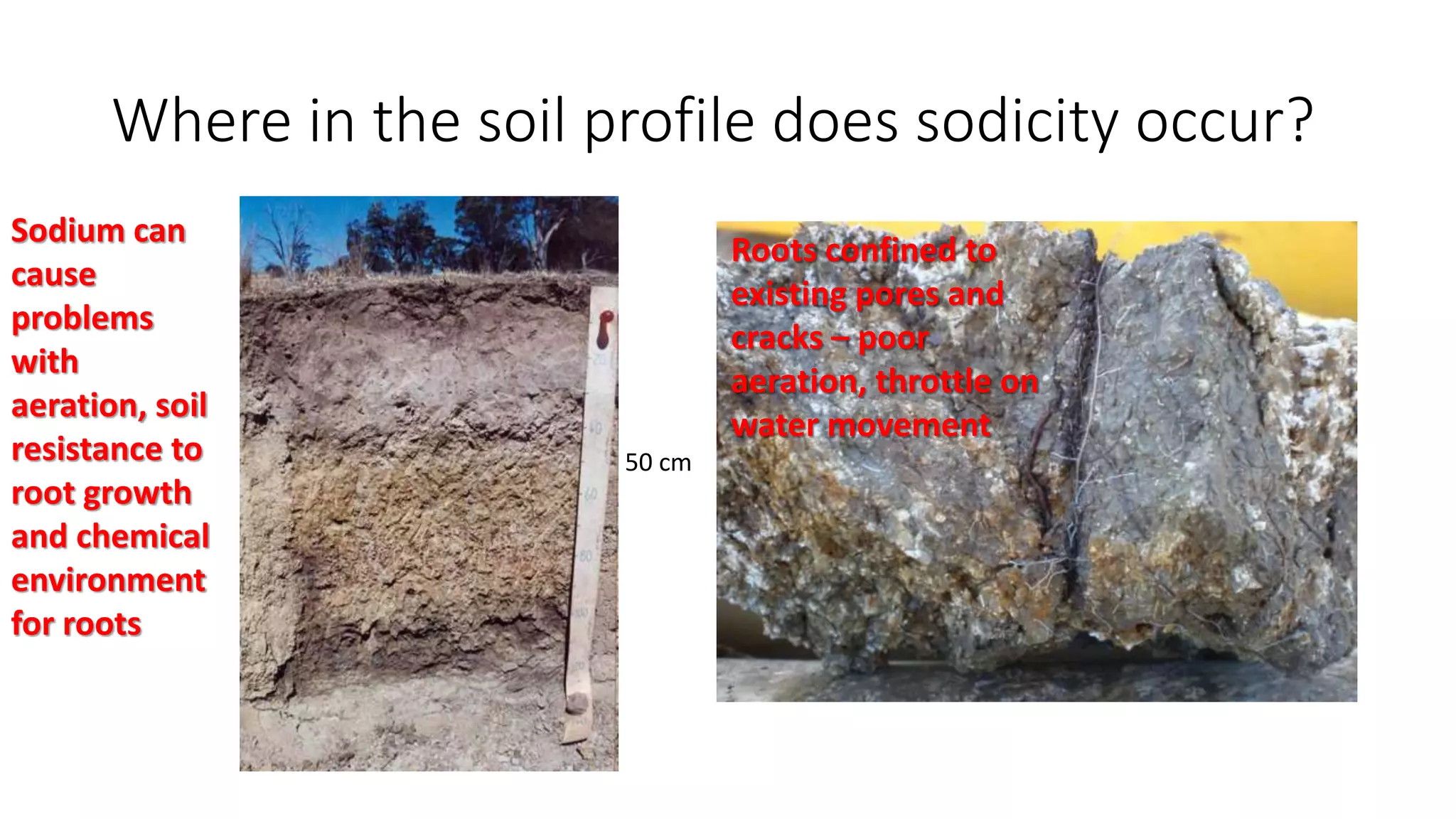 2019-09-19 - Brian Murphy - Understanding sodic soils: the difference ...