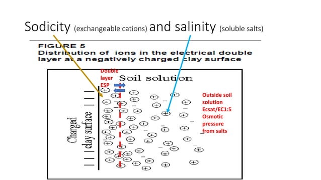 2019-09-19 - Brian Murphy - Understanding sodic soils: the difference ...