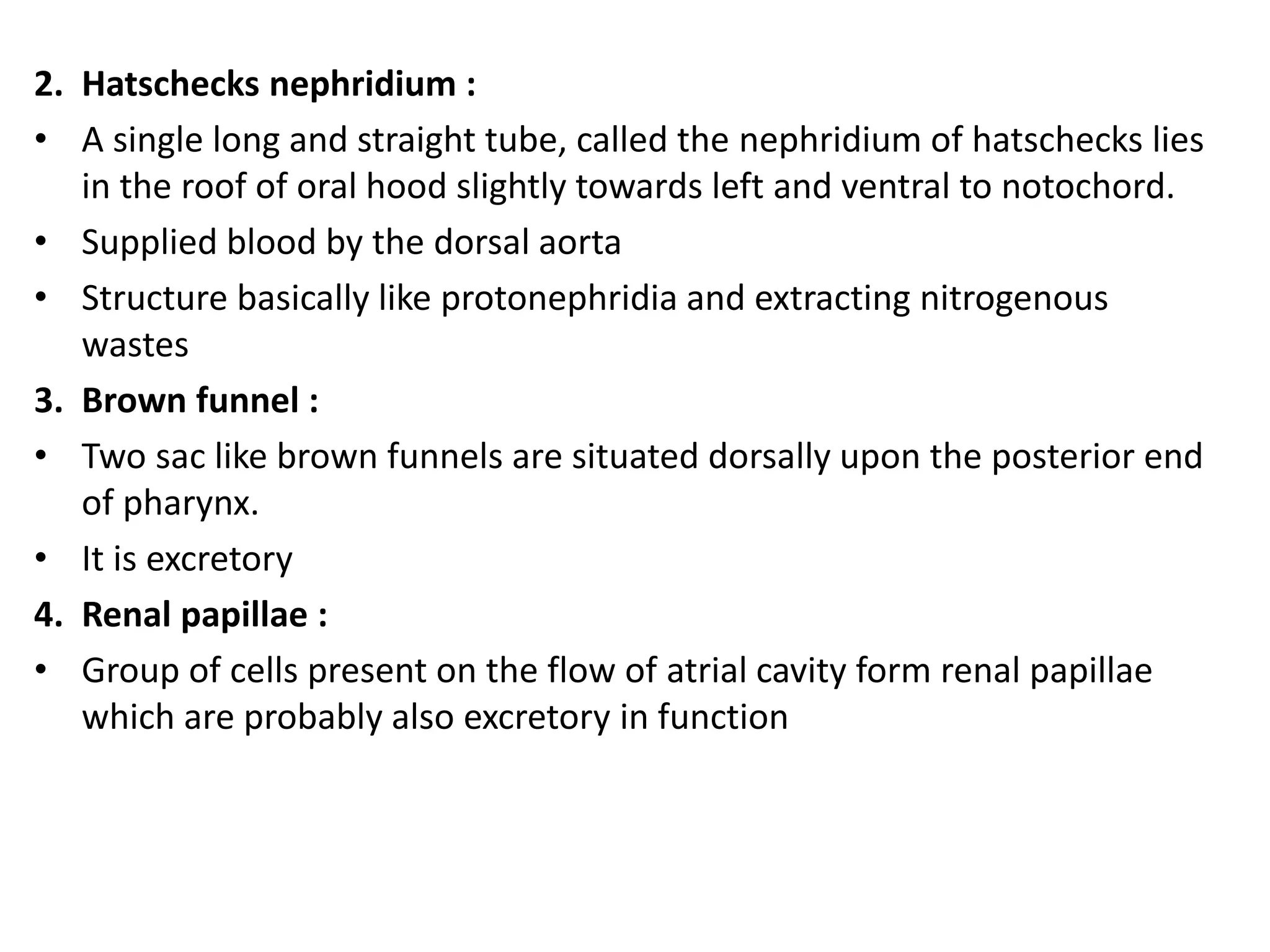 Amphioxus (Branchiostoma) | PPTX