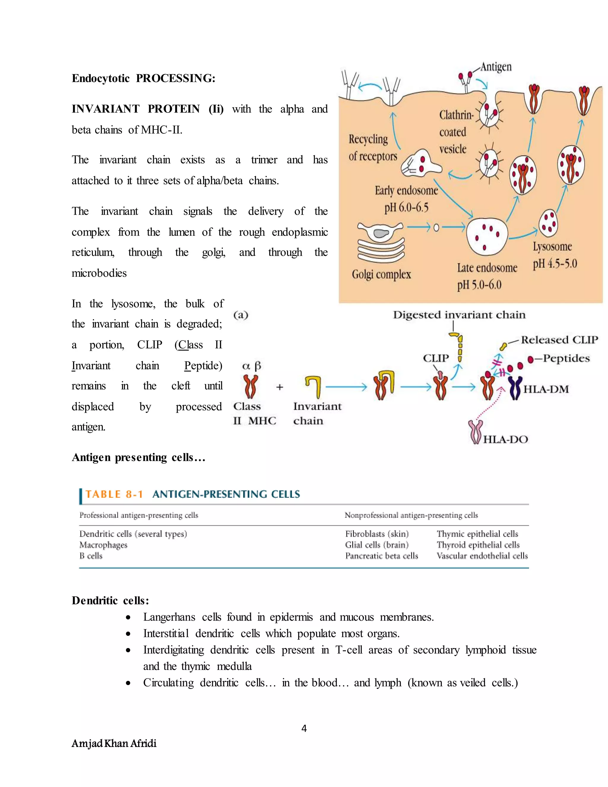 Antigens processing and presentation MID | PDF