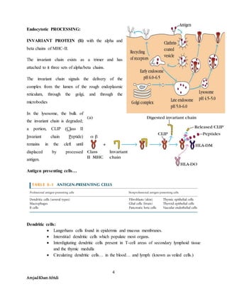 Antigens processing and presentation MID | DOCX