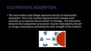 TYPES OF NANOMATERIAL | PPTX