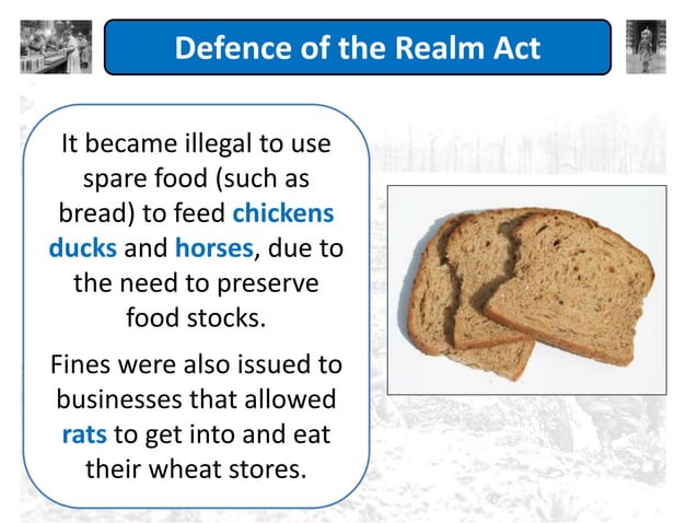 Era of the Great War - Defence of the Realm Act (DORA) | PPT