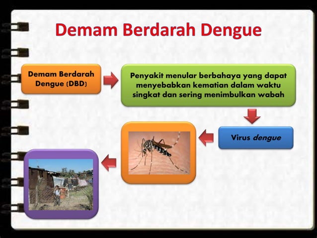 Materi dbd | PPT