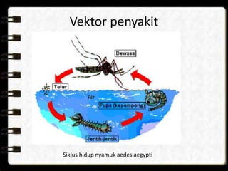 Materi dbd | PPT