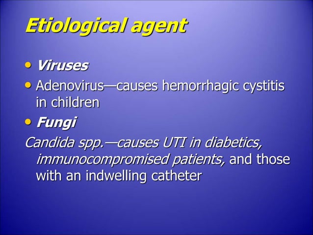 1. urinary tract infection (UTI) | PPT
