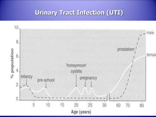 1. urinary tract infection (UTI) | PPT
