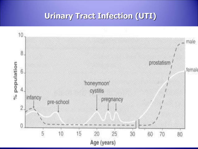 1. urinary tract infection (UTI) | PPT